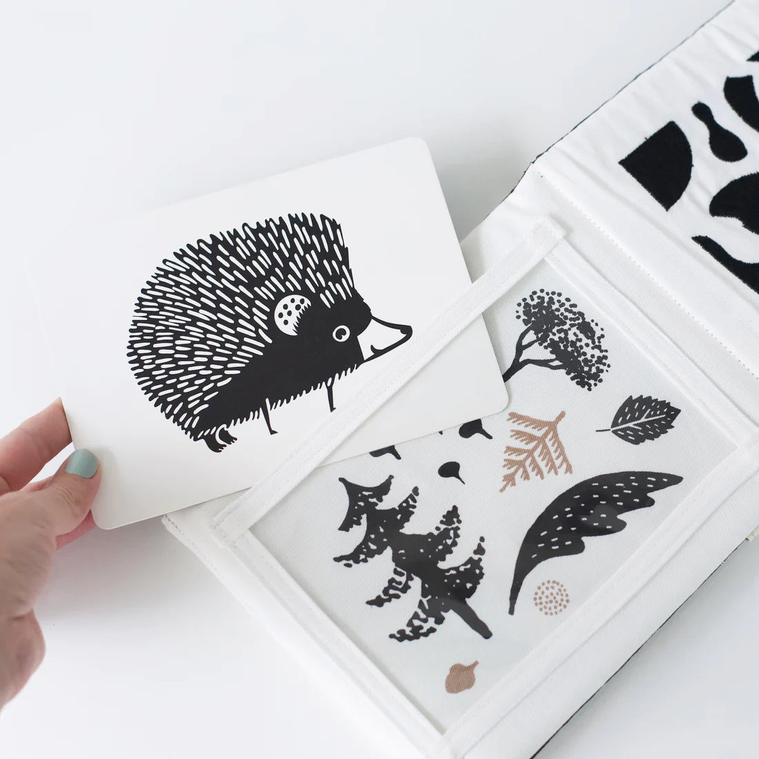 Wee Gallery – Acorn Wonder